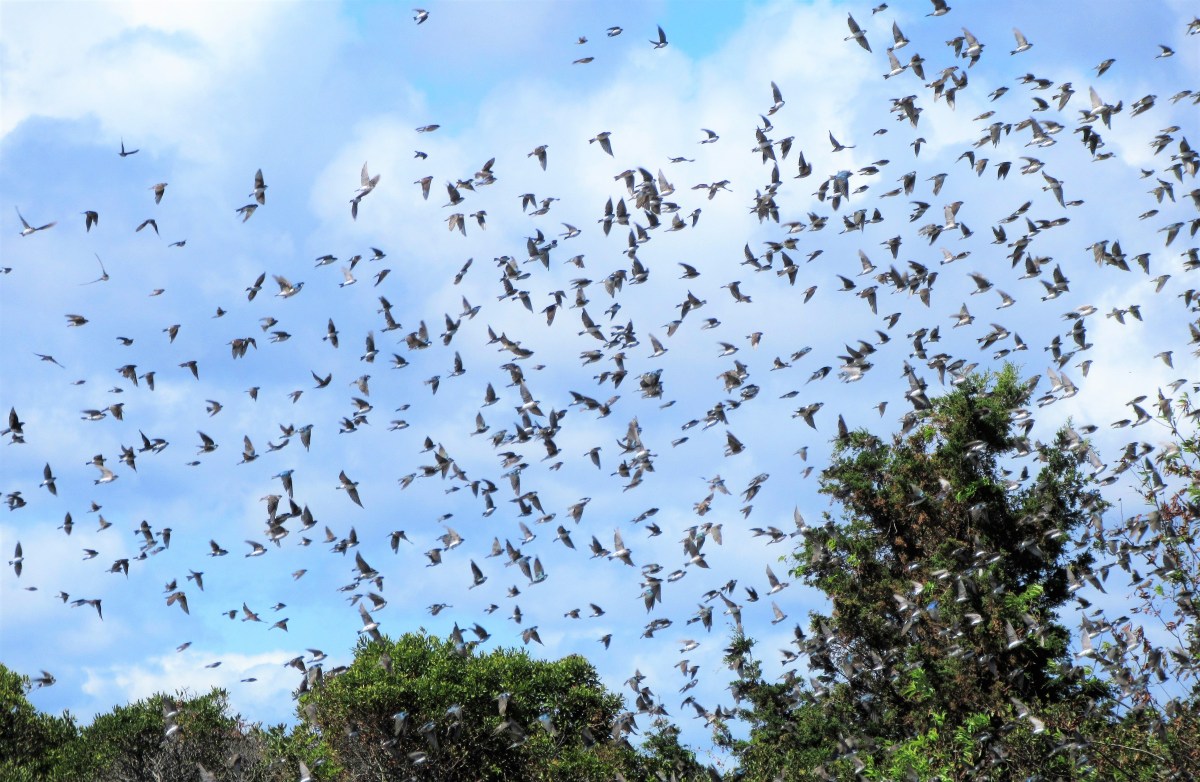 Unity – Life Is Full of Sweet Spots