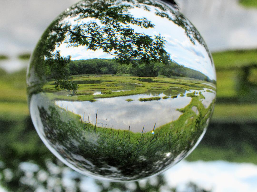 In a Bubble – Life Is Full of Sweet Spots